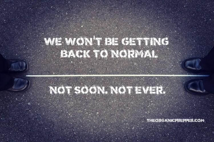 We Won’t Be Getting “Back to Normal.” Not Soon. Not Ever. » Sons of ...