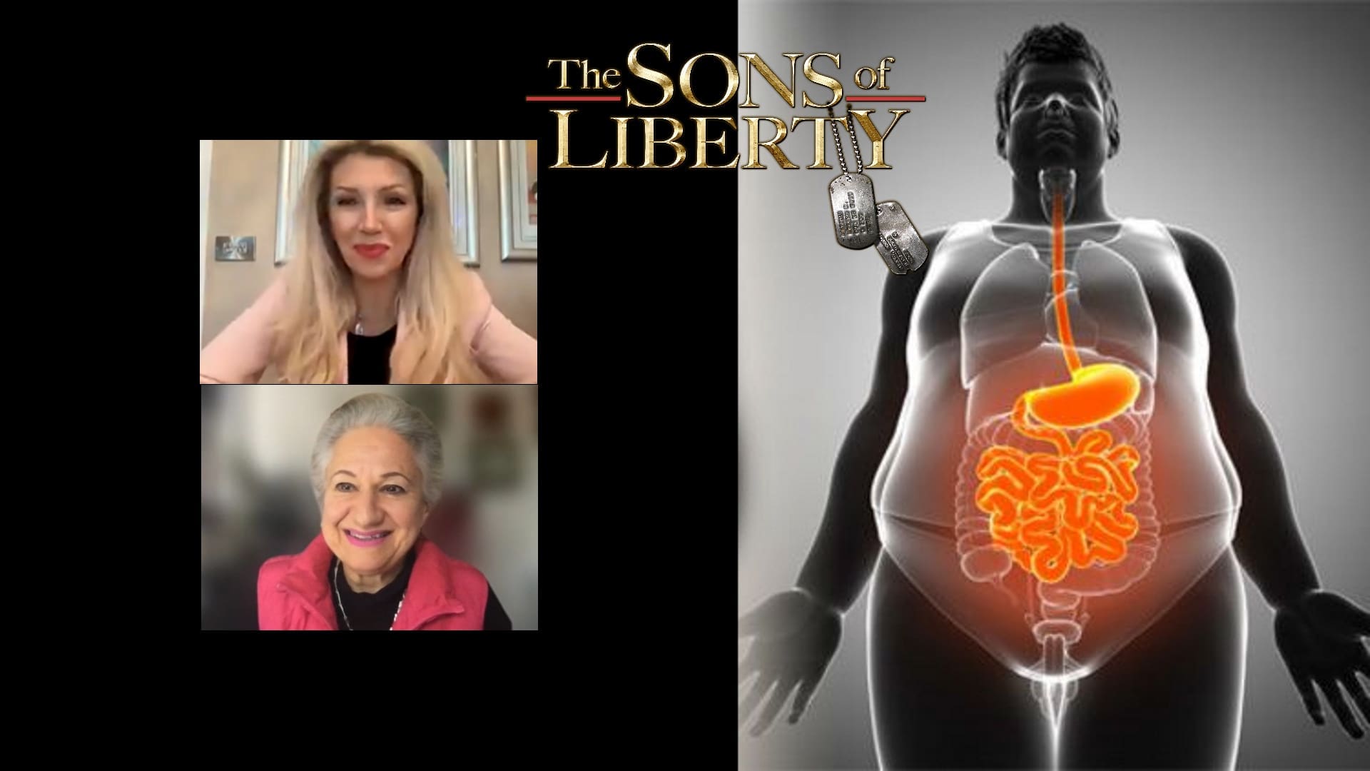 Kate Shemirani & Simone Plaut "The Silver Bullet": How Dangerous Is Fat ...