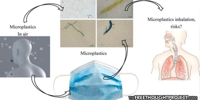 Study Shows Most People Now Have Microplastics - Found In Disposable ...